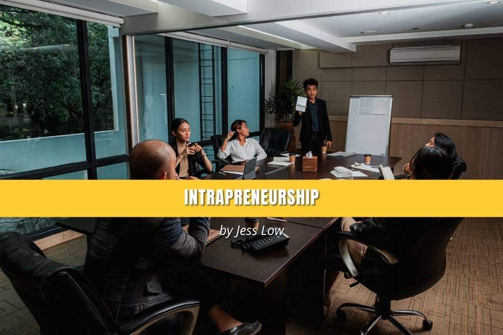 Intrapreneurship