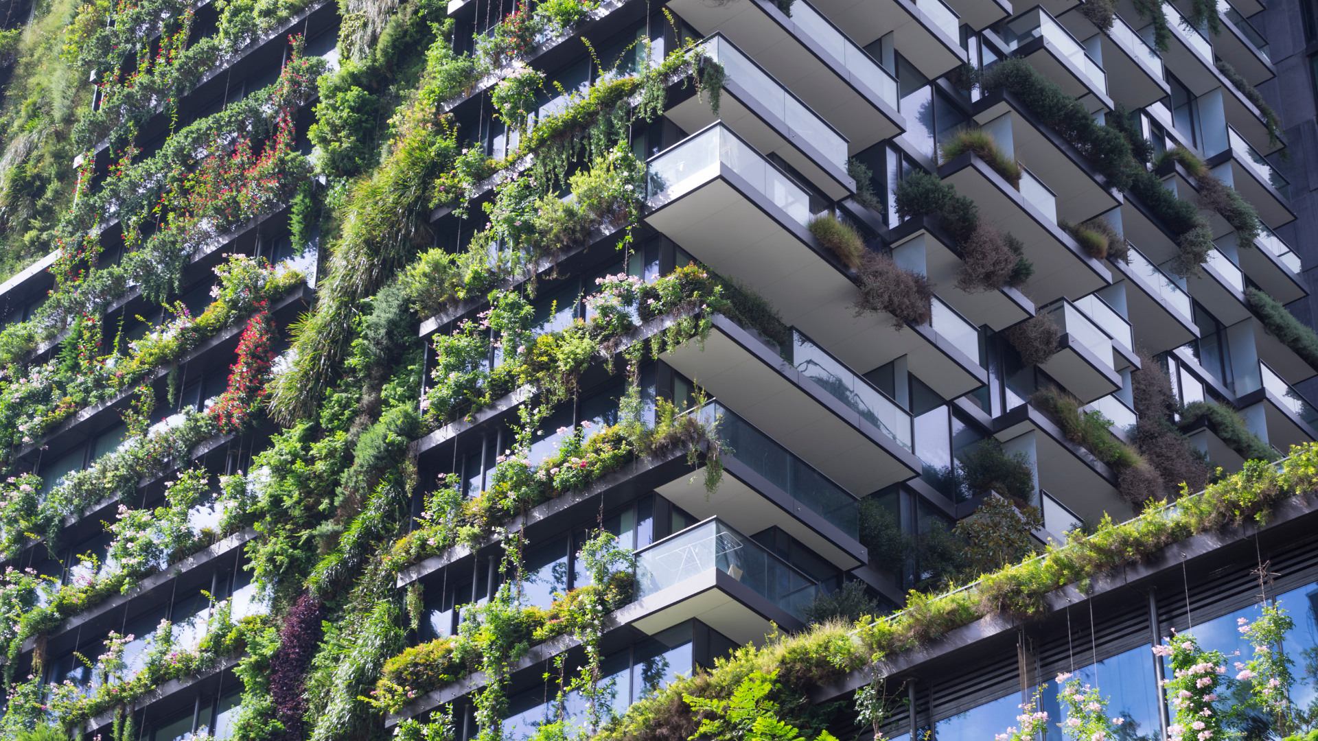 The Green Tech Boom: How Sustainable Innovations Are Transforming Industries